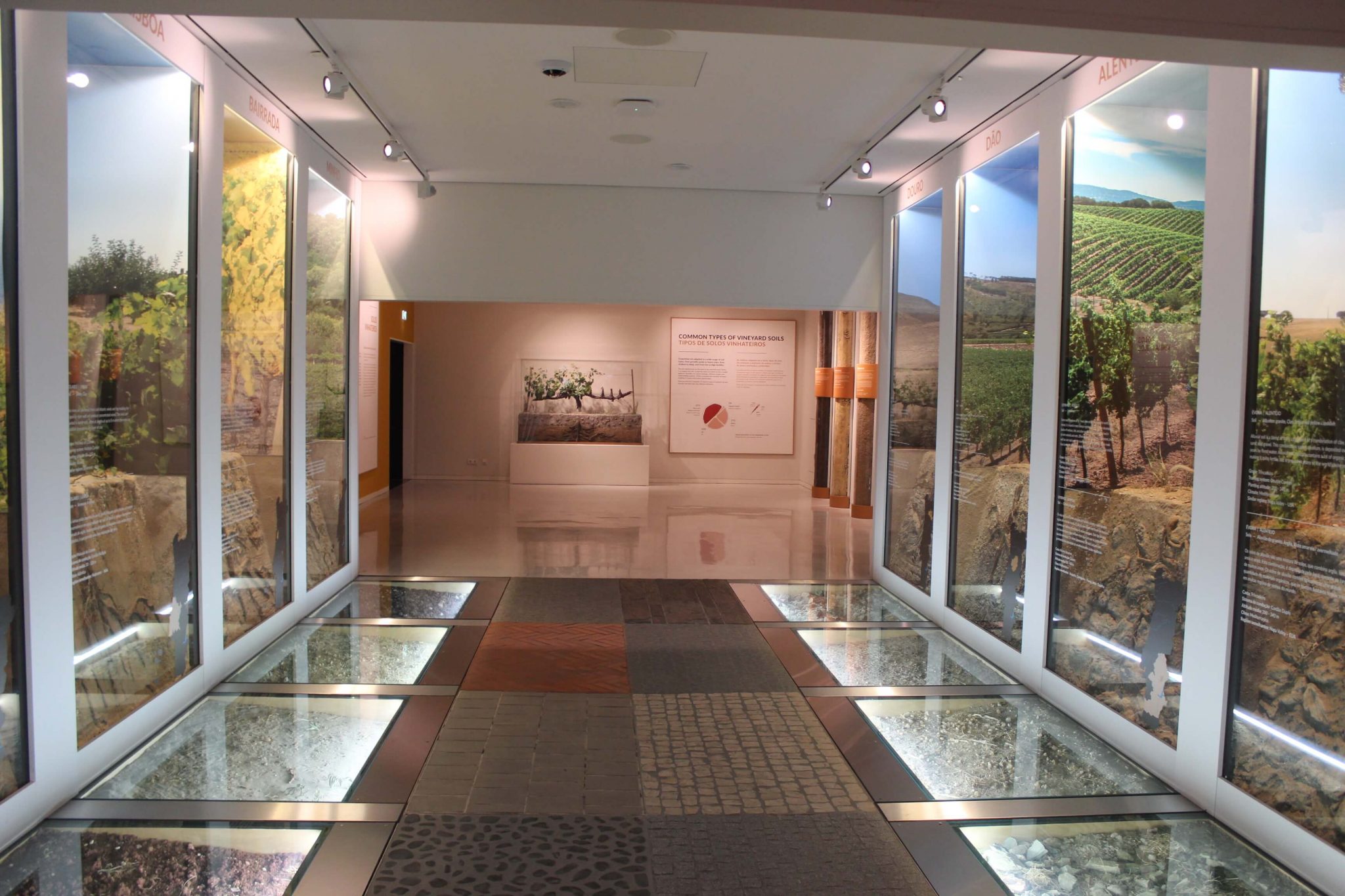 WOW Porto: uma visita pelo World of Wine - Descobrir Viajando