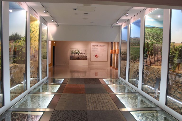 WOW Porto: uma visita pelo World of Wine - Descobrir Viajando