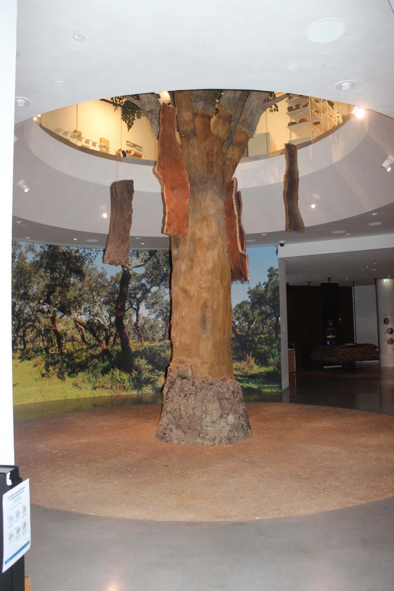 WOW Porto: uma visita pelo World of Wine - Descobrir Viajando