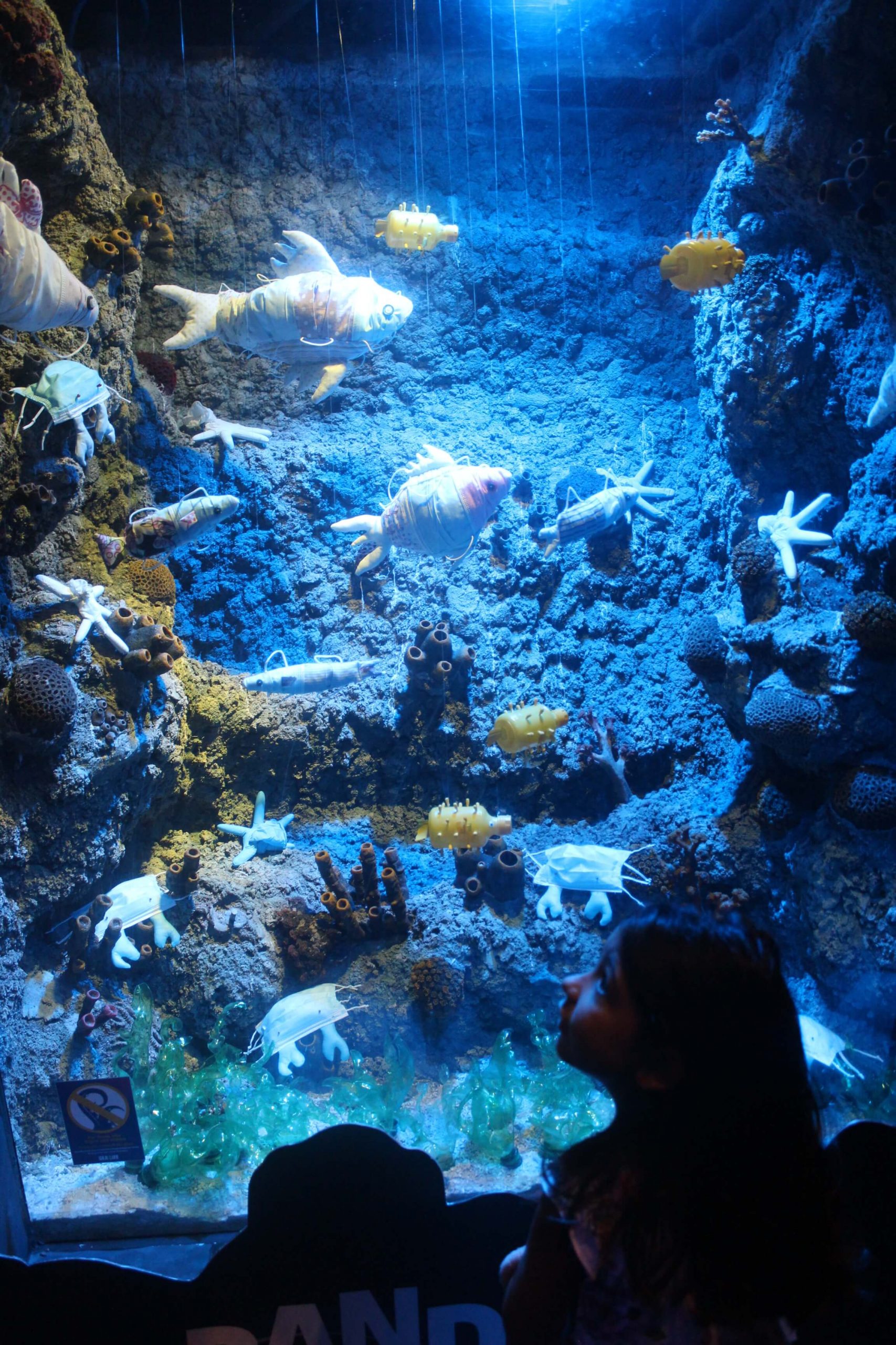 Sea Life Porto - Descobrir Viajando
